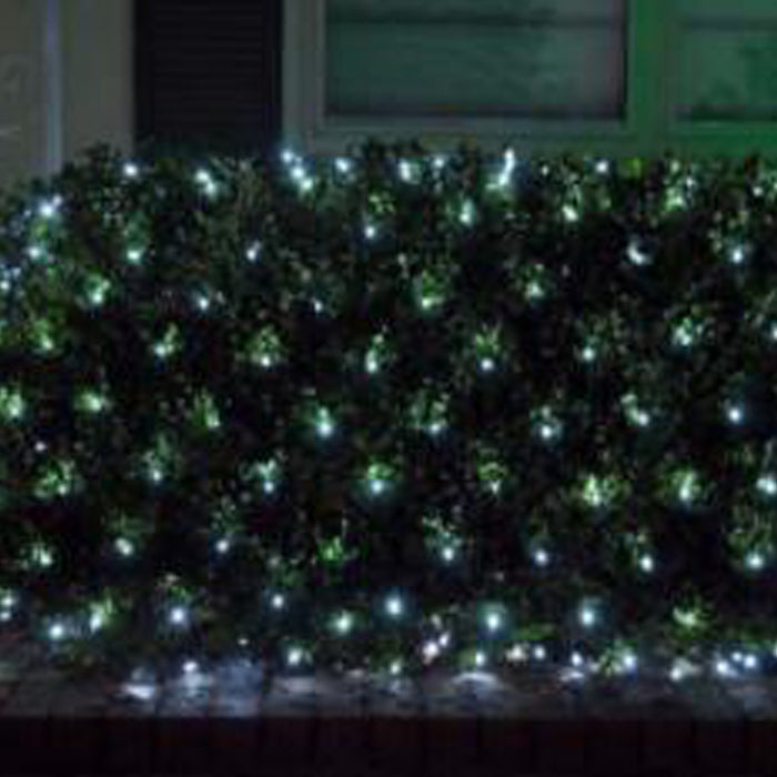 Blue LED Net Christmas Lights — HolidayLights.com